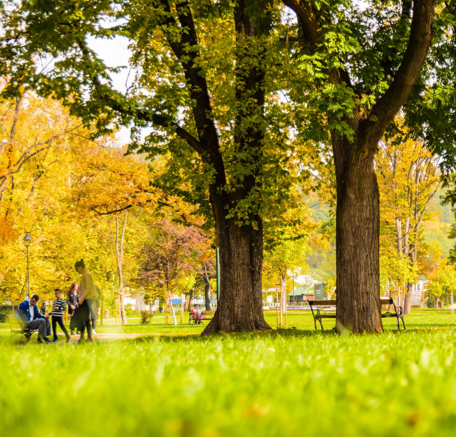 The Best Ways to Explore Your New City Part I: Tips for Travel Nurses