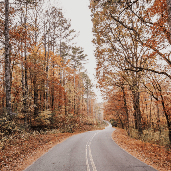 5 Awesome Places for Fall Travel in 2019 for Travel Nurses