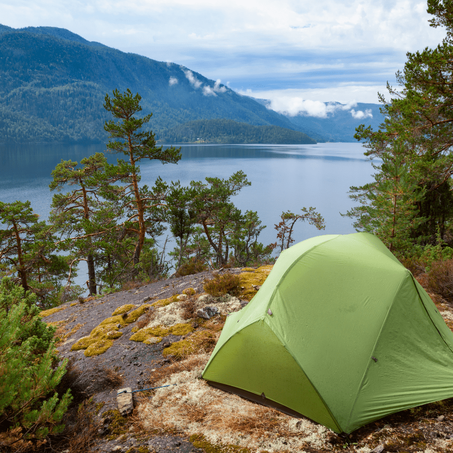 20 Pet-Friendly Cities for Gypsy Dogs - The Gypsy Nurse