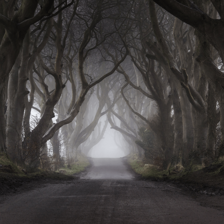 Housing Stipend: What is a Fair Price for Travel Nurse Housing?